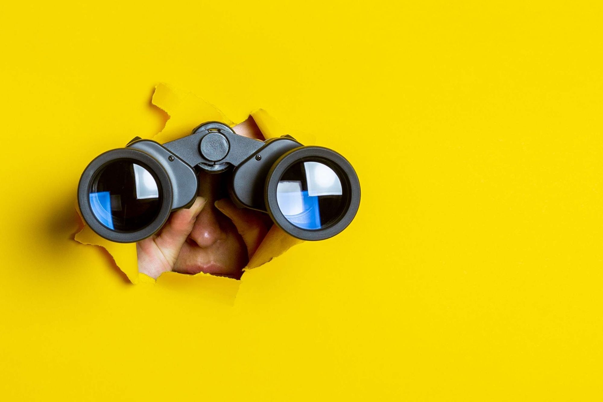 Monkey Predictions - Prime Quadrant